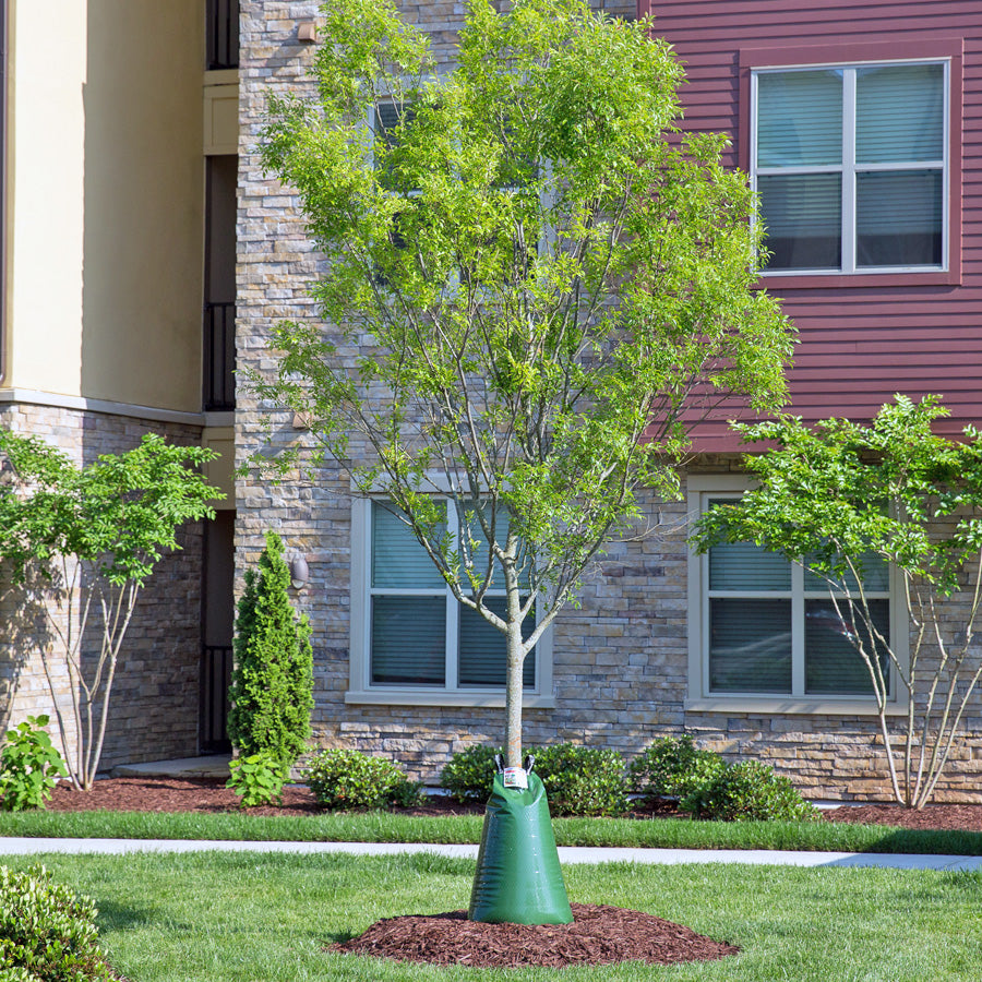 Treegator® Original Slow-Release Watering Bag (case of 30) – Treegator.com