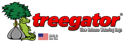 Your Guide to Watering a New Tree – Treegator.com