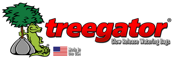 Your Guide to Watering a New Tree – Treegator.com