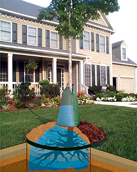 Tree Watering Tips – Treegator.com